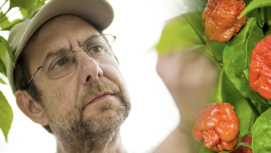 Comment le cultivateur Ed Currie fait le piment le plus chaud au monde